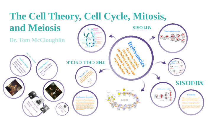 Cell theory cell cycle, mitosis, and meiosis v2 by Tom McCloughlin on Prezi