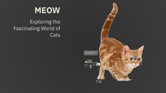 MEOW by Jordan on Prezi
