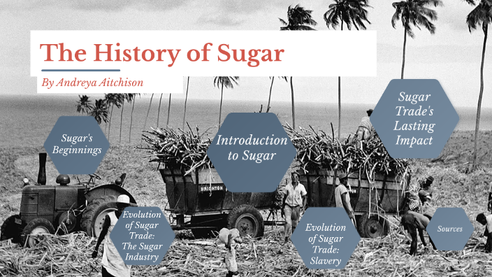 History of Sugar Trade by Andreya Aitchison on Prezi