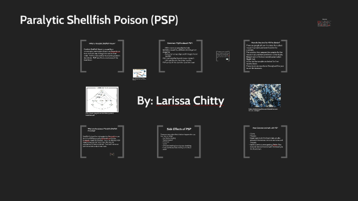 Paralytic Shellfish Poison (PSP) by Larissa Chitty on Prezi