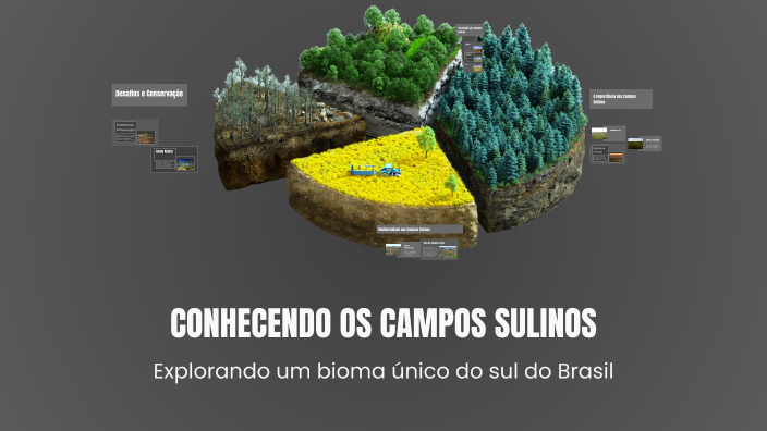 CONHECENDO OS CAMPOS SULINOS by JADIEL ELIOENAI SILVA COSTA AVELINO on ...
