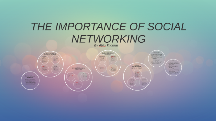 THE IMPORTANCE OF SOCIAL NETWORKING by Abin Thomas