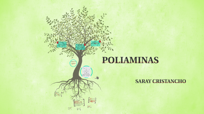 POLIAMINAS by Saray Cristancho on Prezi