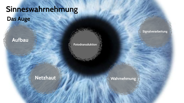 Das Auge by Benjamin Barthel on Prezi