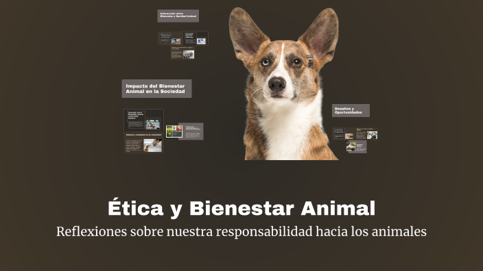Ética y Bienestar Animal by Eliza Orellana on Prezi