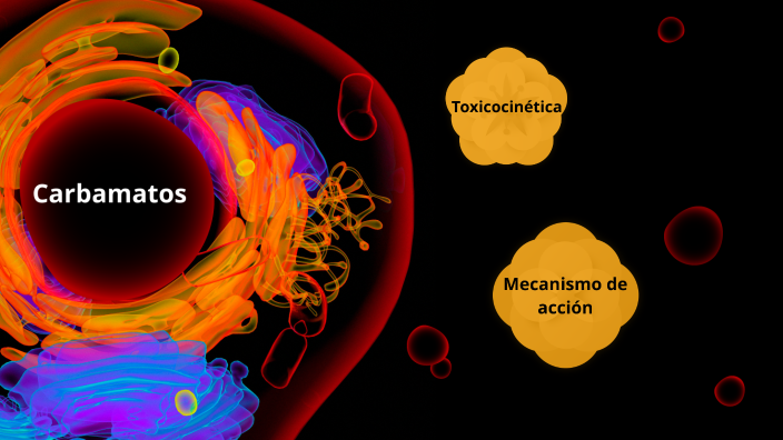 Toxicocinética y Mecanismo de Acción de Carbamatos by Jorge Antonio ...