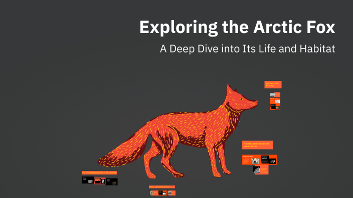 Exploring the Arctic Fox by Kimina on Prezi