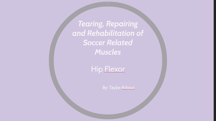 Tearing, Repairing and Rehabilitation of Muscles by Taylor Arbour on Prezi