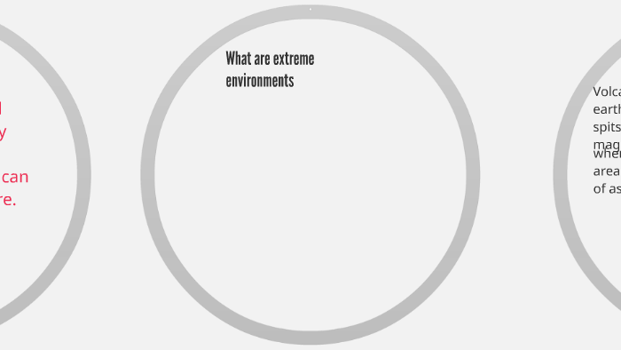 What are Volcanoes by shrek memes on Prezi