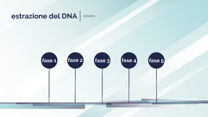 esperimento DNA by Irina Kholodnaya on Prezi