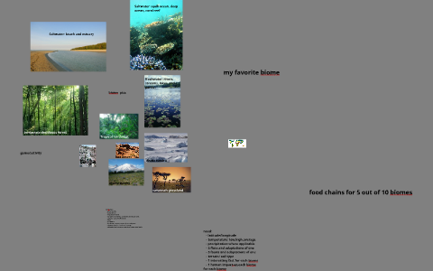 Biome lap book notes by Elijah Street on Prezi