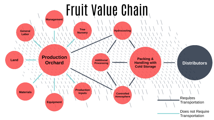 Fruit Value Chain by Aidan Kendall