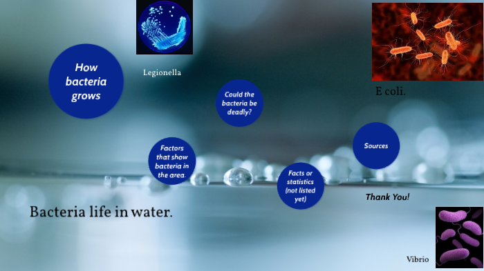 Bacteria life in water by Jade Davis on Prezi