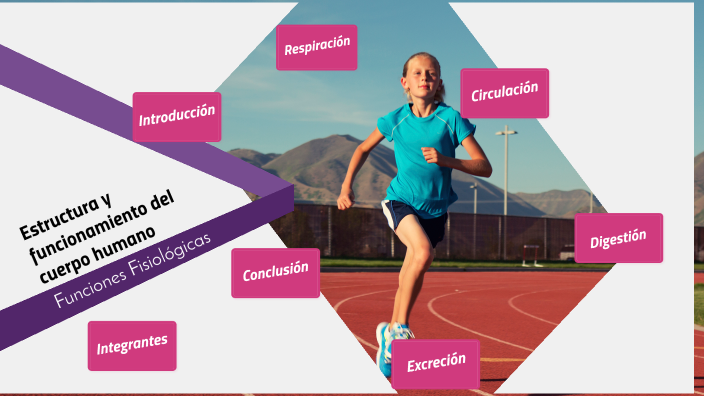 Estructura y funcionamiento del cuerpo humano by Zempo Martin on Prezi