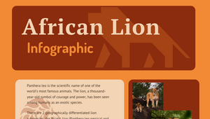 African Lion Infographic by Fernanda Martinez Chavez Hernandez on Prezi ...