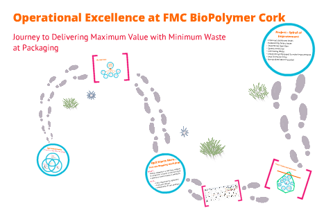 Operational Excellence at FMC BioPolymer Cork by David Reilly on Prezi