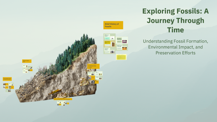 Exploring Fossils: A Journey Through Time by nopu on Prezi