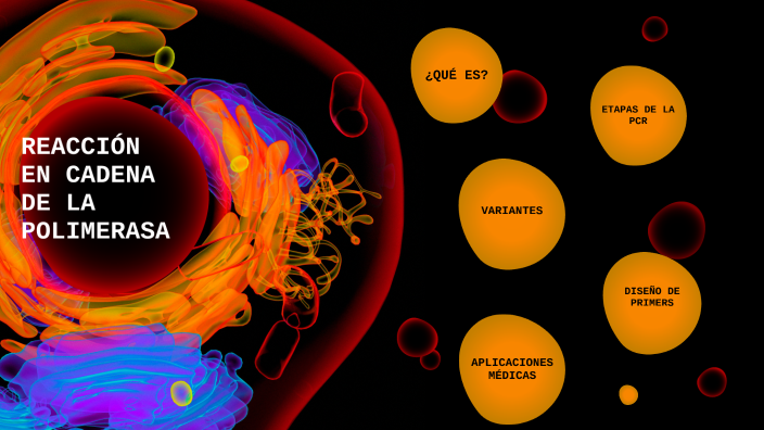 REACCIÓN EN CADENA DE LA POLIMERASA by Ximena Márquez on Prezi
