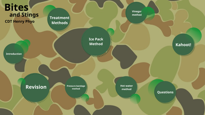 Bites and Stings Assesment by Henry Phyo on Prezi