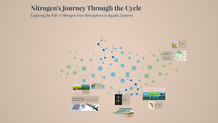 Nitrogen's Journey Through the Cycle by Olivia frederick on Prezi