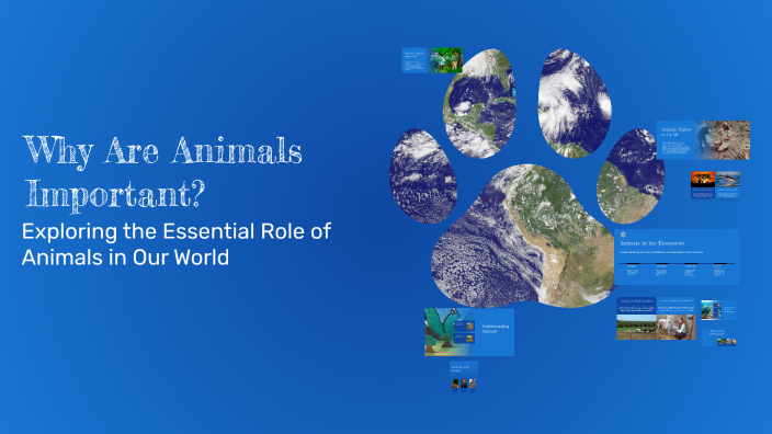 Why Are Animals Important? by César Alonso on Prezi