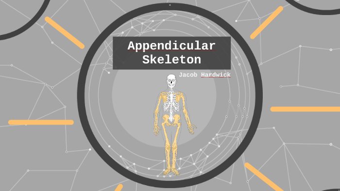 https://openclipart.org/detail/254426/skeleton-with-arms-out by jacob ...