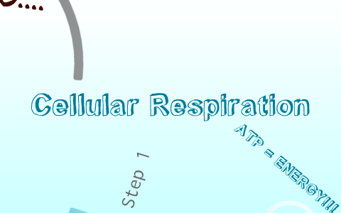 Cellular Respiration by Kyra McCabe on Prezi