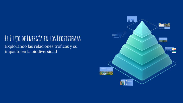 El Flujo de Energía en los Ecosistemas by ROSIBETH QUIJADA on Prezi