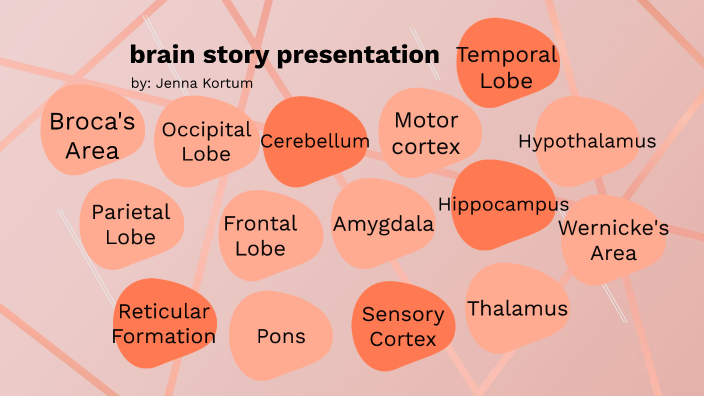 brain assignment by Jenna Kortum on Prezi