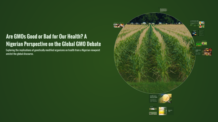 Are GMOs Good or Bad for Our Health? A Nigerian Perspective on the ...