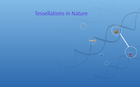 Tessellations in Nature by LIFE Lab on Prezi