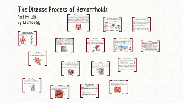 Physiology & Anatomy by Charlie Begg on Prezi