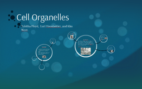 Cell Organelles by Tabitha Floyd