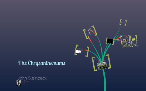 The Chrysanthemums- John Steinbeck by Wynnm Murphy on Prezi