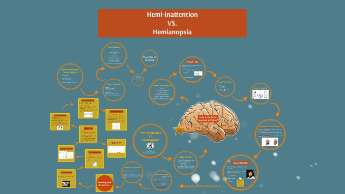 Neglect VS. Hemianopsia by Rachel Steiner on Prezi