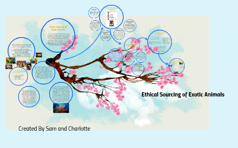 Ethical Sourcing of Exotic Animals by Sam Harkness on Prezi