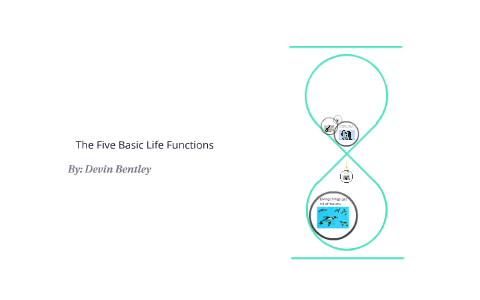 The Five Basic Life Fun by REBECCA BAGGETT