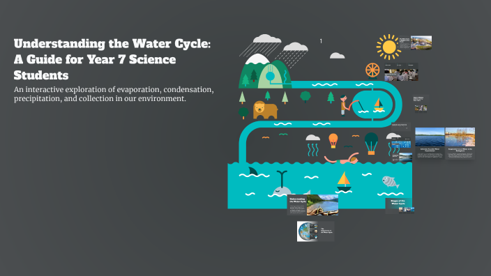 Understanding the Water Cycle: A Guide for Year 7 Science Students by ...