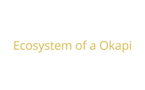 Ecosystem of a Okapi by mia sehr on Prezi
