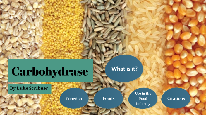 Carbohydrase by Luke Scribner on Prezi