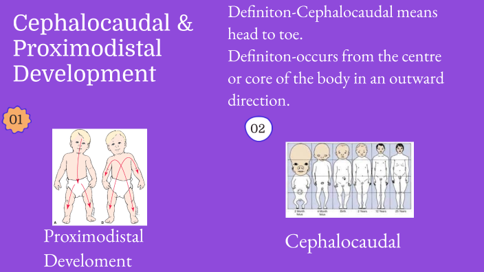Cephalocaudal & Proximodistal Development by Nayelie Salazar-Lara ...