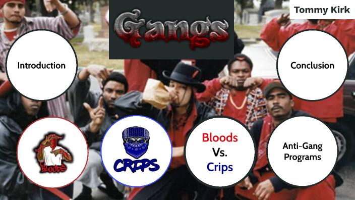 Final Project - Gangs by Tommy Kirk on Prezi