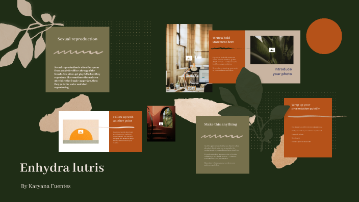 Sea Otter Reproduction by Karyana Fuentes on Prezi