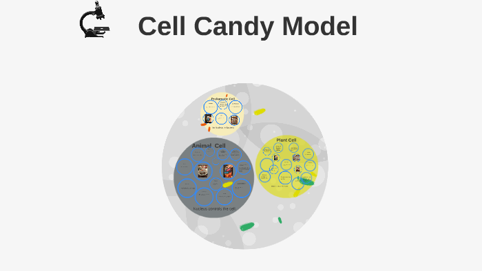 Cell Candy Model by Ilian Vega on Prezi