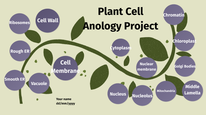 Plant Cell Analogy Project by Forest Olsen on Prezi