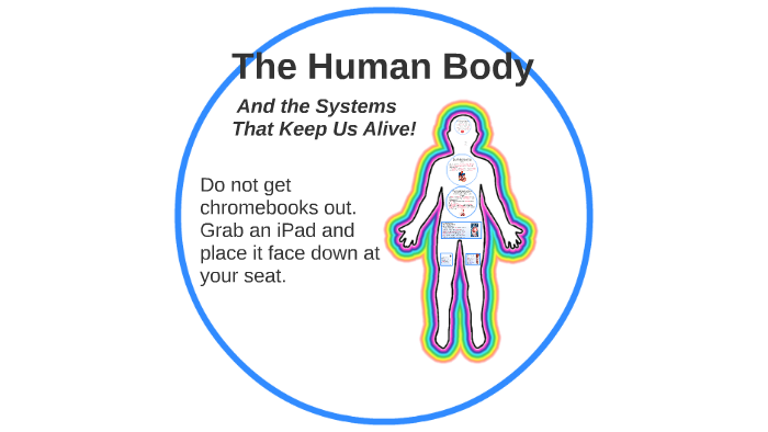 The Human Body by Erica Hebert on Prezi