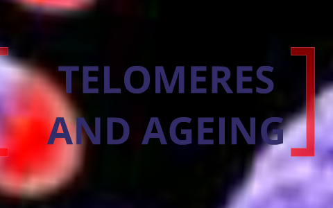 telomeres by Harry Dhami on Prezi