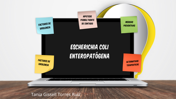 E. COLI ENTEROPATOGENO by Tania Torres on Prezi