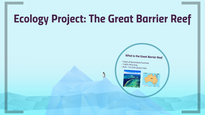 Ecology Project: The Great Barrier Reef by Kiyoko Hsu on Prezi