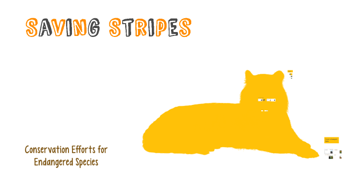 Saving Stripes by abigail Mcintyre on Prezi